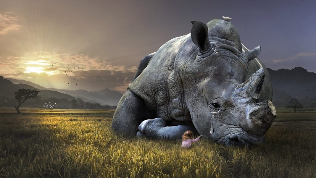 Científicos rusos estudian virus prehistóricos extraídos de animales ...