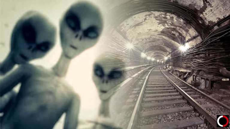 Los Grises: La raza extraterrestre que más contacto ha tenido con la ...