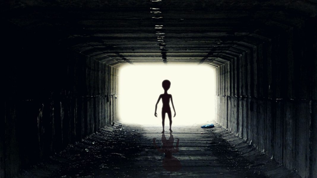 Los Grises: La raza extraterrestre que más contacto ha tenido con la ...