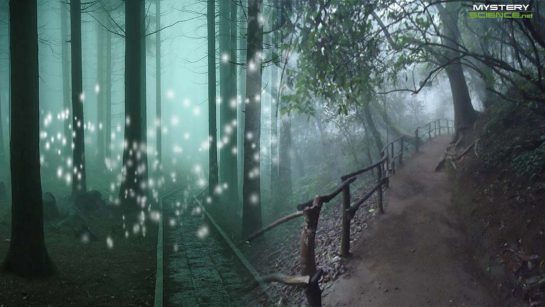 Los elementales, seres mitológicos protectores de la naturaleza ...