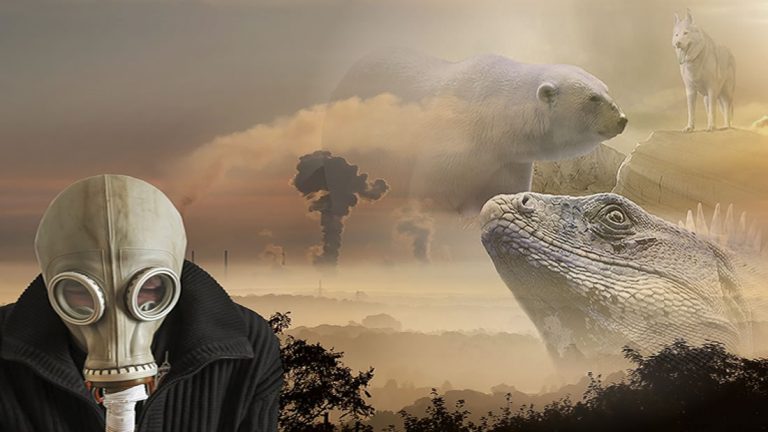 La Tierra ingresó en la sexta extinción masiva de especies – Mystery ...