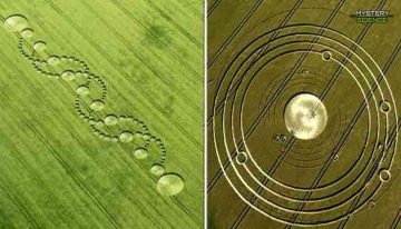 Crop Circles ¿Qué hay detrás de los círculos de cultivos? – Mystery Science