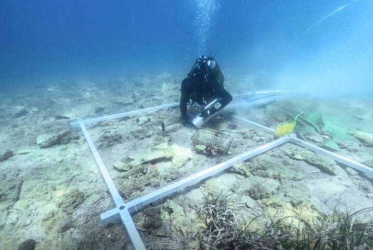 Hallan un pueblo prehistórico de 6.500 años bajo el mar – Mystery Science